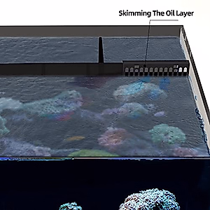 LANDEN 40C 11 Gallon Ultra Clear Glass Rimless Low Iron Aquarium Tank with Rear Filtration Chamber(Return Pump Included) for Salt and Fresh Water,15.8Wx15.8D×15.8H in(40x40x40cm) 6mm Thickness