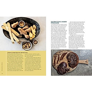 Christopher Hobbs's Medicinal Mushrooms: The Essential Guide: Boost Immunity, Improve Memory, Fight Cancer, Stop Infection, and Expand Your Consciousness