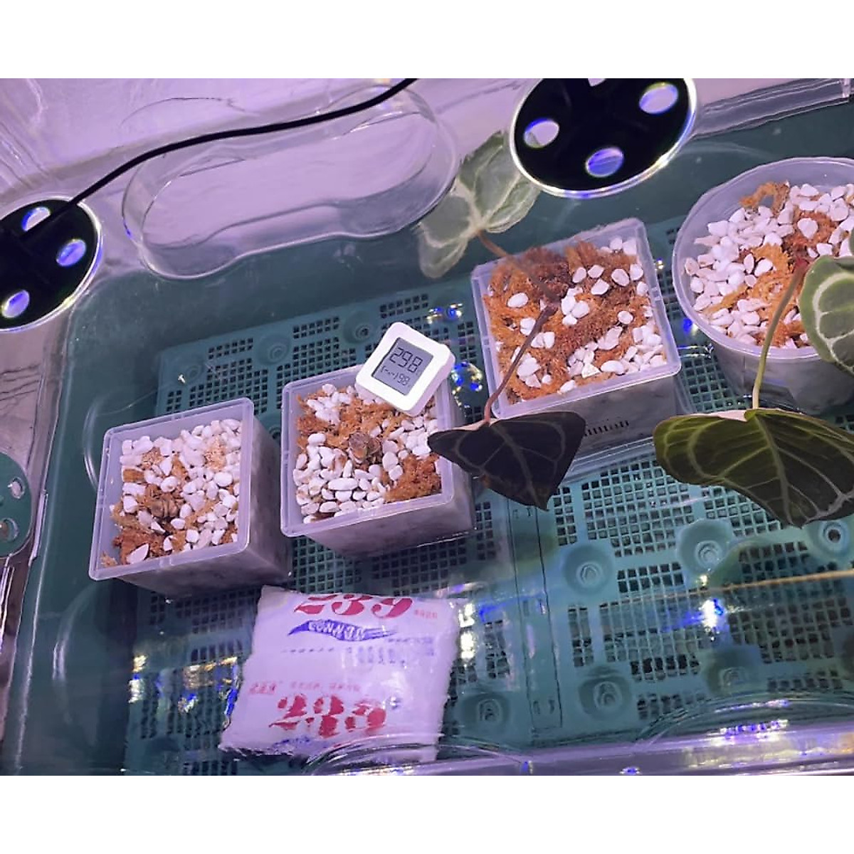 10QT Organic Perlite Horticultural Soil Amendment for Plants and Enhanced Drainage Enhanced