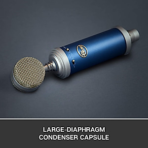 Blue Microphones Bluebird SL Large-Diaphragm Condenser Microphone (Renewed)