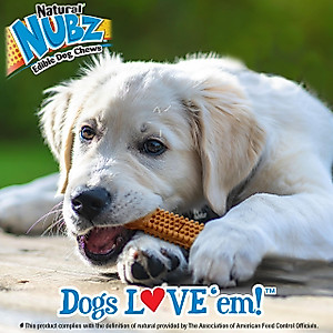 Nylabone Nubz Natural Turkey & Sweet Potato Flavor Edible Chew Treats for Dogs, Made in USA, Small - Up to 25 lbs. (8 Count)