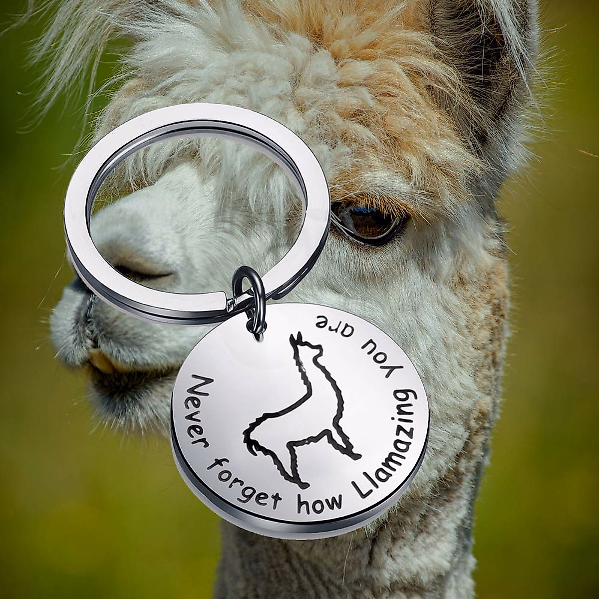 Llama Keychain Never Forget How Llamazing You are Keychain Alpaca jewelry Animal Lover Gift (Llama Keychain)