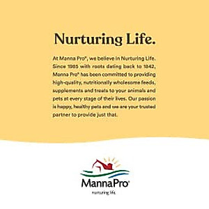Manna Pro Crushed Oyster Shell | Egg Laying Chickens | 5 LB (4-Pack)