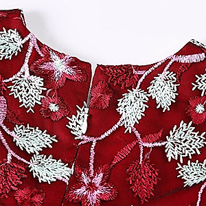 Dinosaur Toddler Dress Kids Girls Patterns Sleeveless Party Hoilday Weddings Elegant Lace Tulle Clothes (Red, 2-3 Years)