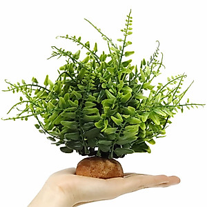 WOLEDOE Fake Green Boston Fern, Reptile Plants for Terrarium, Amphibian Tank Accessories Habitat Decor fit Crested Gecko Leopard Lizard Chameleon Ball Python Snake Frog