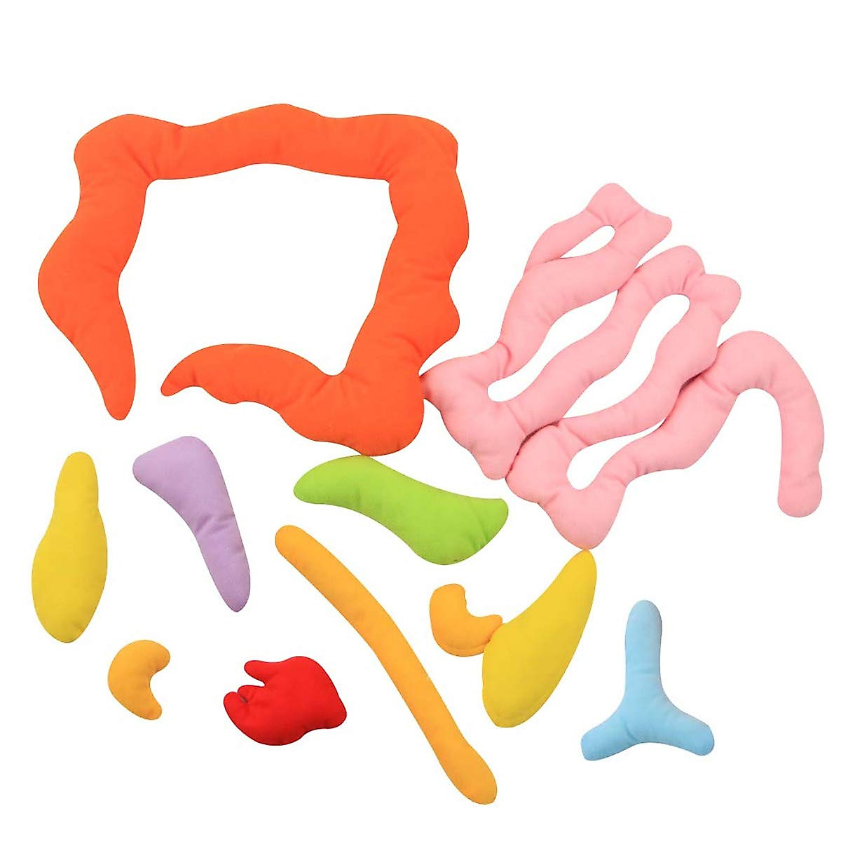 EDIONS 3D Organ Apron for Home Preschool Teaching Aid, Anatomy Apron Human Body Removabl Organs Apron for Kindergarten Kids Children Physiological Education Toy