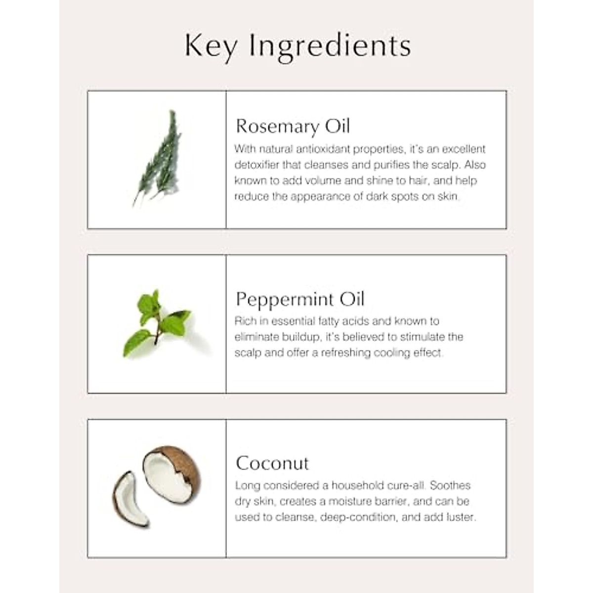 Shampoo for Fine Hair with Rosemary & Peppermint 8 oz