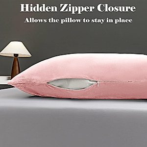 TELUS Velvet Body Pillow Cover with Zipper, Super Soft and Cozy Luxury Fuzzy Flannel Pillow Cases Cover 20x54 Inches, Luxury Long Body Pillow Pillowcase, Pink