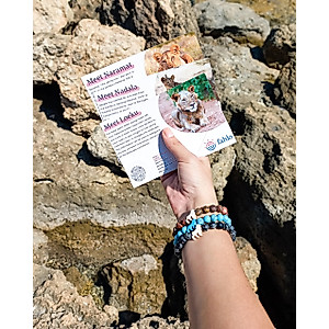 Fahlo Lion Tracking Bracelet, Elastic, supports EWASO Lions, one size fits most for Men and Women (Sky Stone)