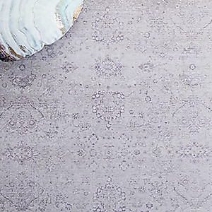 SAFAVIEH Tucson Collection Area Rug - 8' x 10', Beige & Beige, Persian Design, Non-Shedding Machine Washable & Slip Resistant Ideal for High Traffic Areas in Living Room, Bedroom (TSN199B)