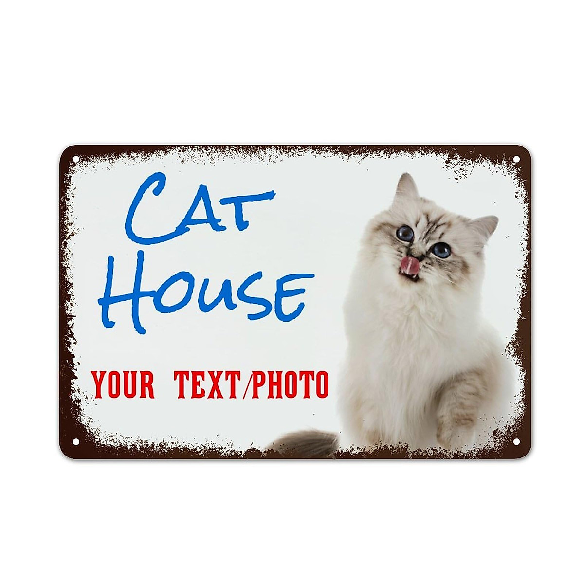 Custom Signs Outdoor Metal,Personalized Street Signs Personalized Plaque Address Signs for Houses With Name Customized Business Signs for Outside for Rent Sign No Weenies Allowed Sign (style 1)