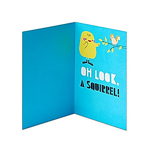 American Greetings Funny Birthday Card (Distracted Squirrel)