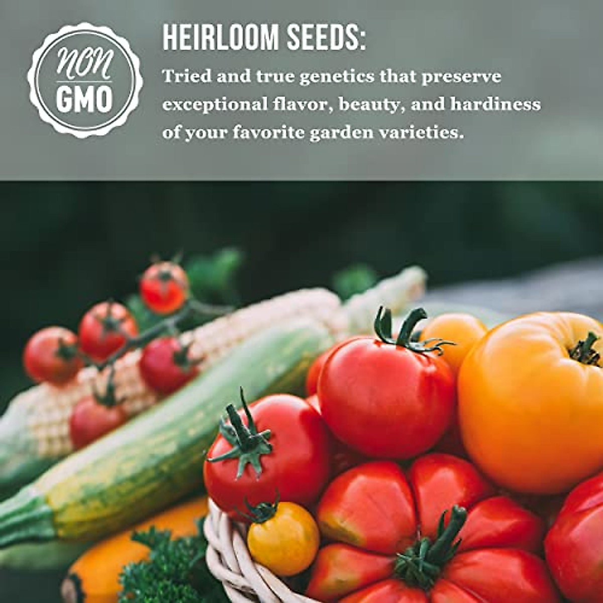 Sow Right Seeds - Flower Seed Garden Collection for Planting - 5 Packets Includes Marigold, Zinnia, Sunflower, Cape Daisy, and Cosmos - Wonderful Gardening Gift