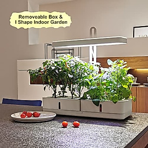 Indoor Herb Garden Gifts New Home Decor, Hydroponics Growing System, Herb Garden, Plant Germination Kit Aeroponic Herb Vegetable Growth Lamp Countertop with LED Grow Light Hydrophonic Planter Grower