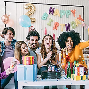 Backdrop Stand 6.5x10ft, ZBWW Photo Video Studio Adjustable Backdrop Stand for Parties, Wedding, Photography, Advertising Display