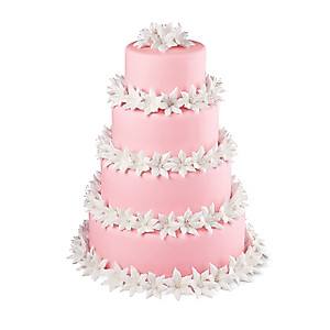 Wilton Round Cake Pans, Aluminum, 4 Piece Set for 6-Inch, 8-Inch, 10-Inch and 12-Inch Cakes