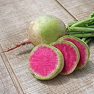 Watermelon Radish Seeds - Inside is red to Pink, Very Sweet and Crisp MMmmmm. (50 - Seeds)