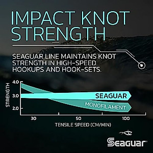 Seaguar Blue Label 100% Flourocarbon Fishing Line (DSF), 20lbs, 25yds Break Strength/Length - 20FC25