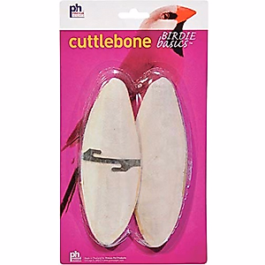 6-inch Cuttlebone / 2pc