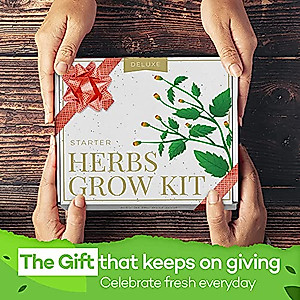 Deluxe Herb Garden Kit – Unique Gardening Gifts for Women - 8 Variety Culinary Herb Garden Kit Indoor & Outdoor – Cooking Gifts for Gardeners, Plant Gifts for Mom Who Has Everything This Christmas