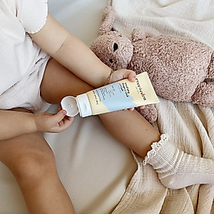 Evereden Soothing Diaper Rash Cream 3.0 oz | Clean and Unscented Diaper Care | Non-toxic and Fragrance Free