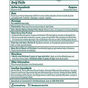 Biofreeze Pain Relief Spray, 4 oz. Aerosol Spray, Pack of 2, Colorless (Packaging May Vary)