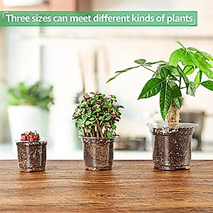 36 Packs 5/4/3.5 Inch Reinforced Clear Nursery Pots with Drainage Hole, Transparent Nursery Pots Variety Pack Plastic Plant Pot Seedling Planter Seed Starter Pots Flower Pot with 20pcs Plant Labels