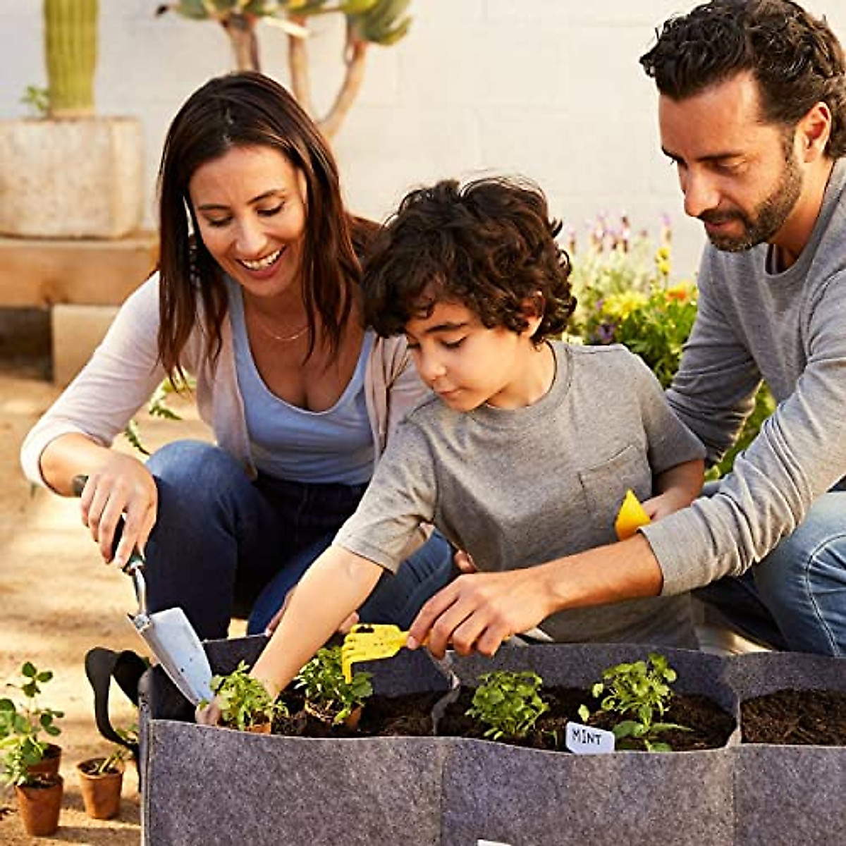 Back to the Roots 3-in-1 Seed Starting Mix 12 Quarts, 100% Organic & USA Made for Herbs, Veggies, Flowers, w/ Nutrient Rich Plant Food, Worm-Castings, & Moisture Controlling Yucca Brown