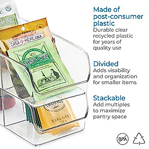 iDesign Linus Spice Packet Organizer Bin for Kitchen Pantry, Cabinet, Countertops - Clear Large