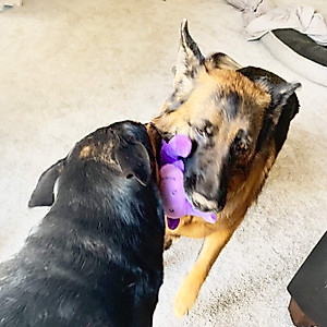 Jalousie 5 Pack 12'' Dog Toys Assortment Value Bundle Dog Plush Toys Dog Squeak Toys12 Inch Each Dog Squeaky Toys Assortment for Medium to Large Breeds - Include Raccoon Elk Hippo Fox Sloth