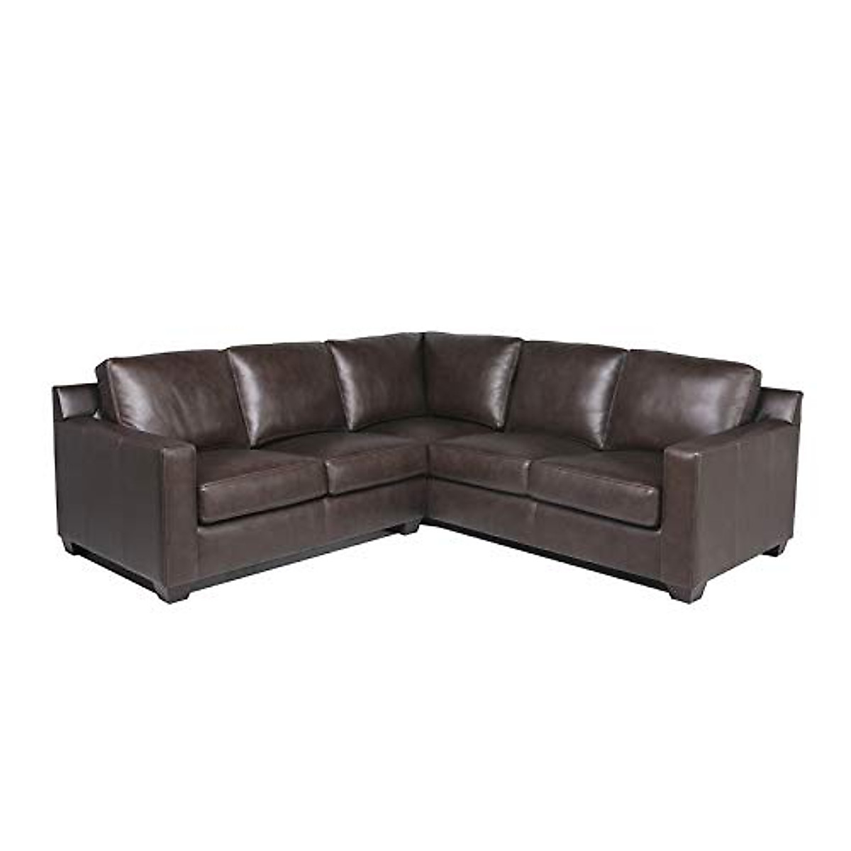 Nice Link Home Furnishings Lauren Leather Two Piece Dark Brown Colored Sectional