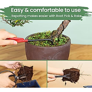 Bonsai Tools Set with Wood Box 12PCS Heavy Duty Bonsai Tree Kit, Trimming Scissor Shears, Concave Cutter, Wire Rolls, Wire Cutter and More, Gardening Bonsai Pruning & Care Kit