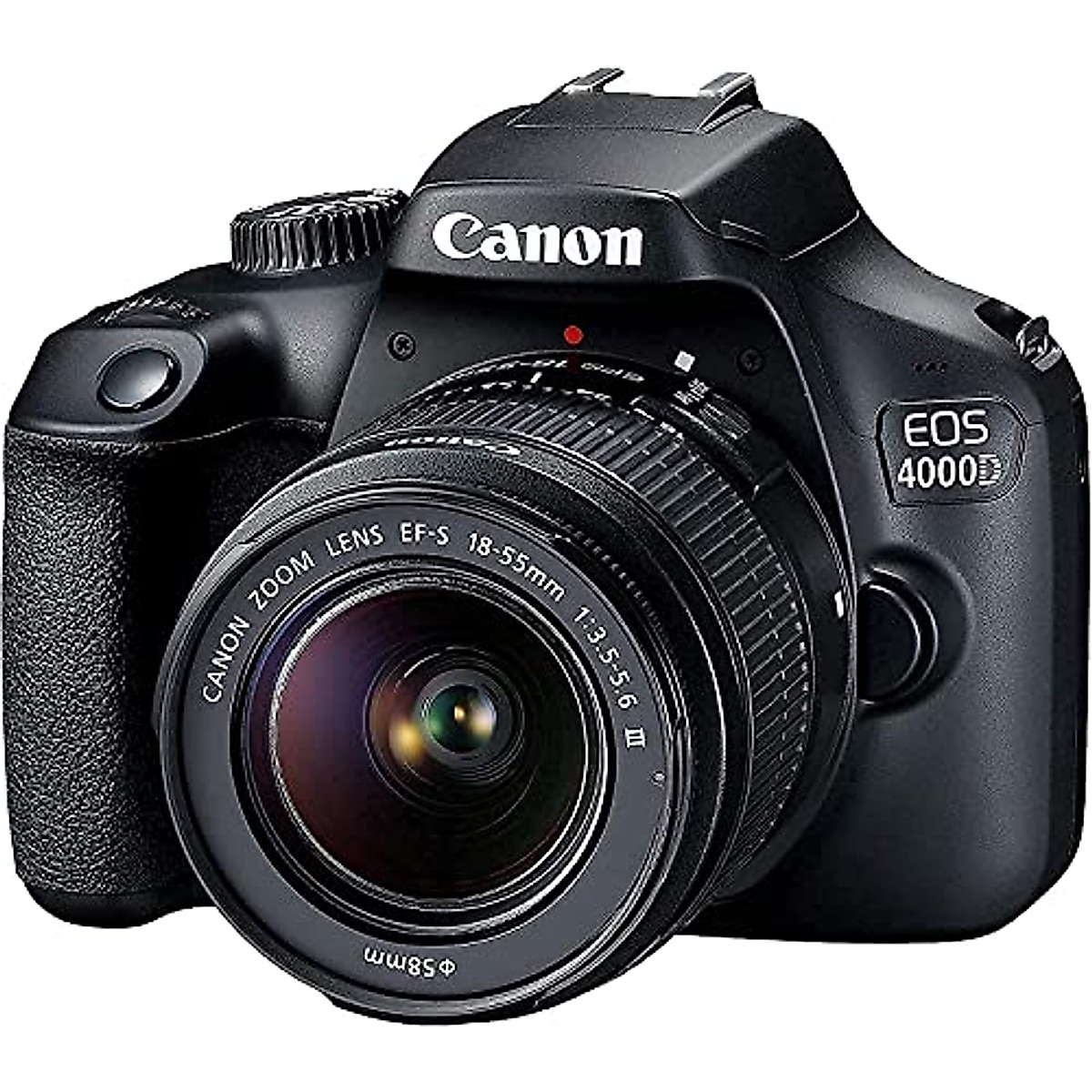 Canon Intl. EOS 4000D DSLR Camera with EF-S 18-55mm F/3.5-5.6 III Lens, ActionPro Bundle Includes 64 GB SanDisk Memory Card, Tripods, Flash, Bag, Filters and More (Large Kit) A