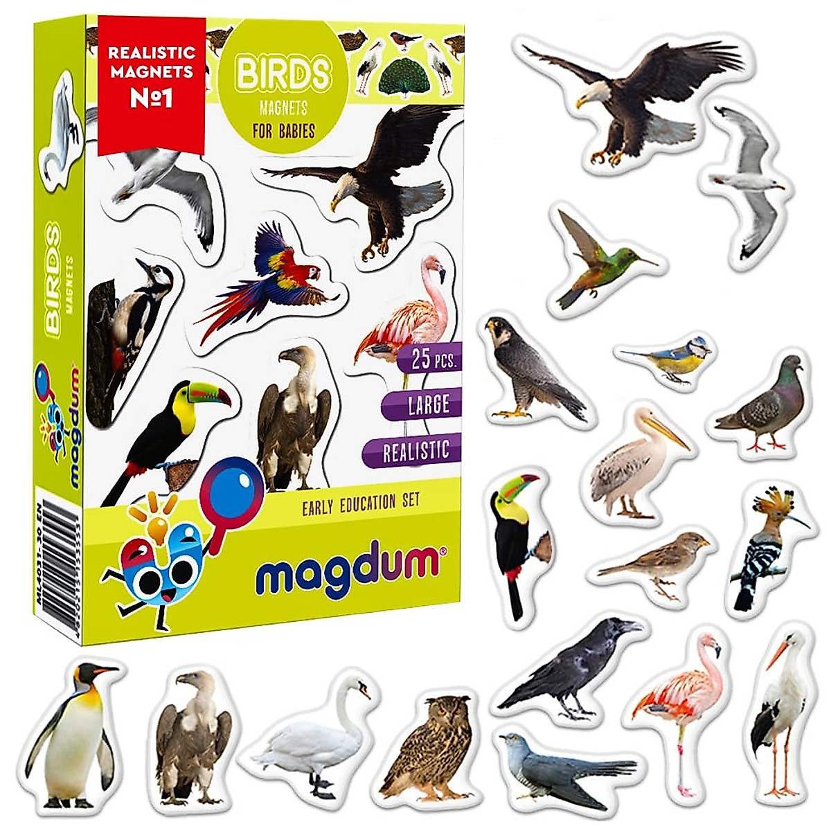 25 Fridge Magnets for Toddlers - Birds Photo Kids Magnets for Fridge - Toddler Magnets for Refrigerator - Magnetic Animals - Fridge Magnets for Kids - Animal Magnets - Toddler Fridge Magnets