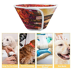 Colorful Autumn Trees Soft Dog Cone Collars Protective Adjustable Cat Recovery Collar to Stop Licking L