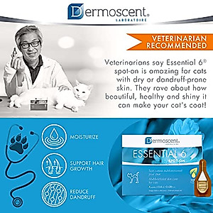 Essential 6 spot-on for Cats - Skin Care for Dandruff Dry or Oily Skin & Hair Loss - Natural Essential Oils & Fatty Acids - Healthy Skin & Coat - 4 Pipettes of 0.6 ml / 0.08 fl. oz