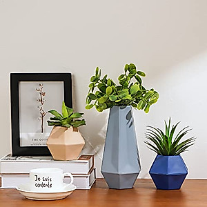 PROGUP Home Décor Boho Vase Set- 3 Small Vases, Modern Rustic Farmhouse Decor,Decorative Vase for Pampas Grass & Dried Flowers,Table, Bookshelf, Mantel and Entryway Decor