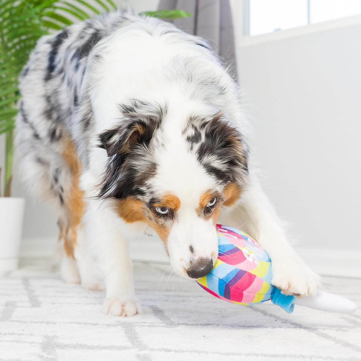 Huxley & Kent for Dogs | I'm Sweet Lollipop (Small) | Easter Spring Funny Dog Toy | Power Plush Dog Toy with Squeaker | Dog Gift | Fun, Durable, and Safe | H&K Squeaky Dog Toy