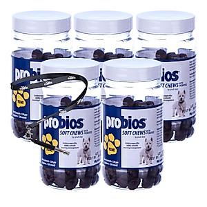 Probios Soft Chews Dogs, 60 Chewables - Bundle with Pet Training Stainless Steel clicker Whistle ultrasonic Probiotics for Dogs Immune Support, Dog Digestive Supplements for Small Dogs~ [Pack of 5]