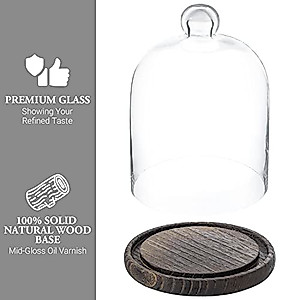 MyGift Clear Cloche Glass Dome, Display Bell Jar with Top Handle and Rustic Brown Solid Wood Base