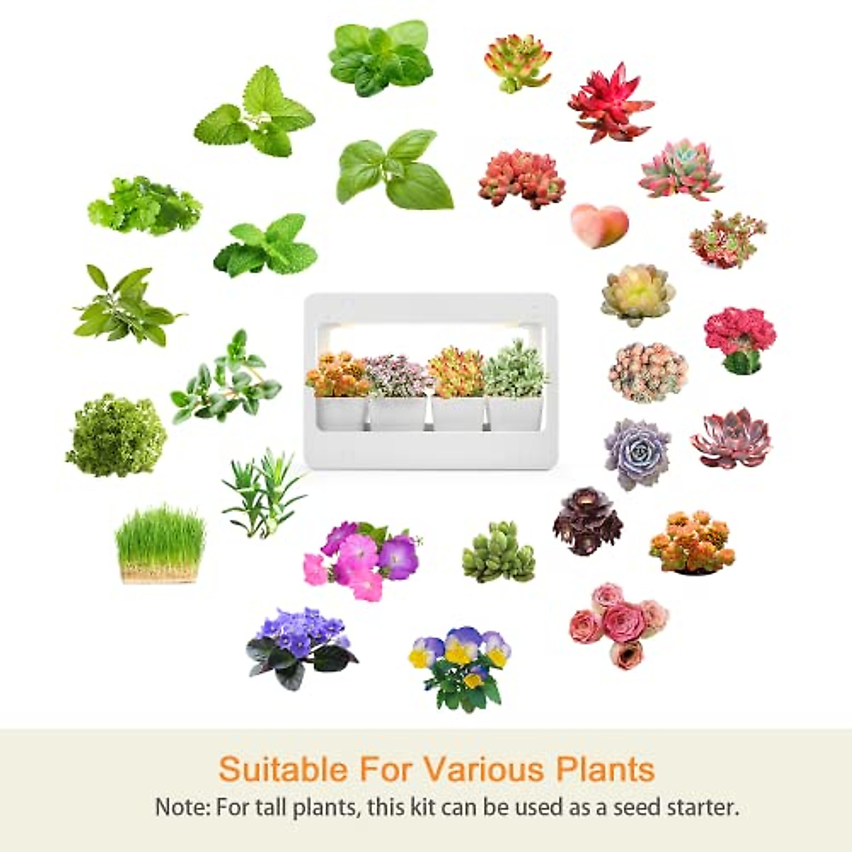 GrowLED Indoor Herb Garden Grow Light Window Frame Shelf Greenhouse Kit Gifts Ideas for Kitchen Veggie Lettuce, Countertop Garden Kit, Tabletop Growing Light Planter, Aero Gardening System Planter