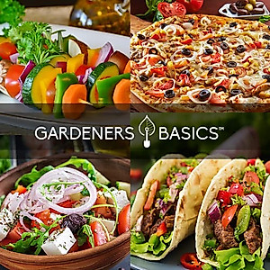 Onion Seeds for Planting - 8 Long and Short Day Varieties Yellow, Red, White, Sweet and Green Onions for Summer, Fall, Onion Seed by Gardeners Basics