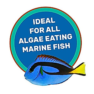 Hikari 042221 Marine Herbivore Medium Sinking Pellets Marine Fish Food, One Size