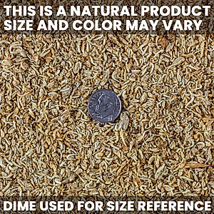 San Francisco Bay Brand Freeze-Dried Mysis Shrimp 0.49-Ounces (14 Grams) Jar