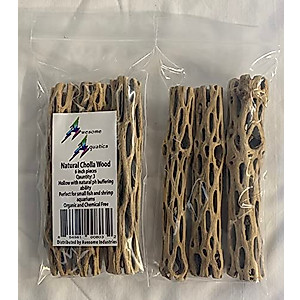 Awesome Aquatic Natural Cholla/Choya Wood 3 Pieces 6” for Shrimp Habitat and Food Treat Hermit Crabs Plecos Aquarium Decoration Lowers pH Hideouts and Chew Toys Reptiles Thorn Free Dried Organic