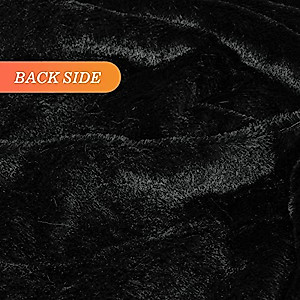 TOONOW Extra Soft Fuzzy Faux Fur Blanket Queen Size 78"x90", Reversible Lightweight Decorative Blankets and Throws Super Soft Cozy Microfiber Fleece Fuzzy Blankets for Couch Bed, Black