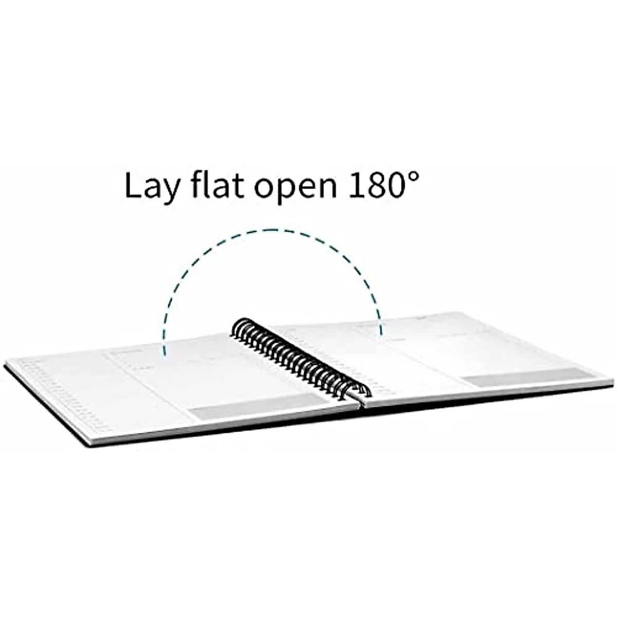 UtyTrees To Do List Notebook, Daily Planner Undated - Blank Hourly Schedules Appointment Planner, Time Planner, 7.6"x10.2" Bigger Planner, Time Management Manual and Planner, 96 Pages, Black