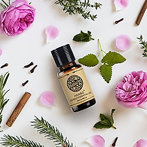 Oregano Essential Oil AKARZ Natural Organic Pure Premium Therapeutic Oregano Oils for Skin Body Hair Care, Diffuser, Candle,Soap,Making, DIY,Massage Aroma 0.34 Fl Oz (10ml)