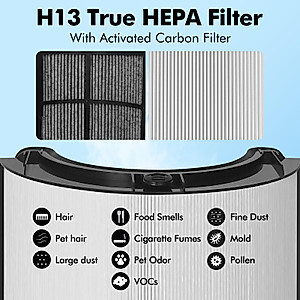 2-IN-1 Filter Replacement for Dyson PH01 HP07 HP10 TP07 TP10 TP09 HP09 HP06 TP06 Air Purifier 360 Combi Glass Pure Cool Hot Humidify Fan, 2-IN-1 Activated Carbon Filter and H13 True Hepa Filter