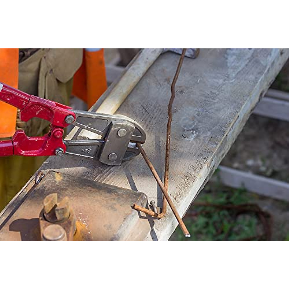 RIDGID 14228 Model S30 Heavy-Duty Bolt Cutter, 31”, Red & WORKPRO W017004A Bolt Cutter, Bi-Material Handle with Soft Rubber Grip, 14", Chrome Molybdenum Steel Blade